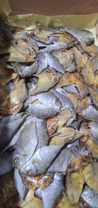 Boneless Danggit ¼ kilo fresh from Masbate. | Lazada PH