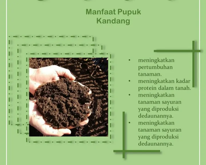 PUPUK KANDANG SAPI MEDIA TANAM SEKAM PUPUK HALUS MURNI ORGANIK KEMASAN ...