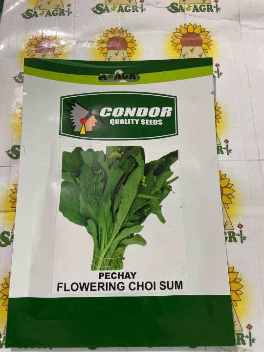 Flowering Choi Sum Pechay Seeds ( 5 grams) by Condor | Lazada PH