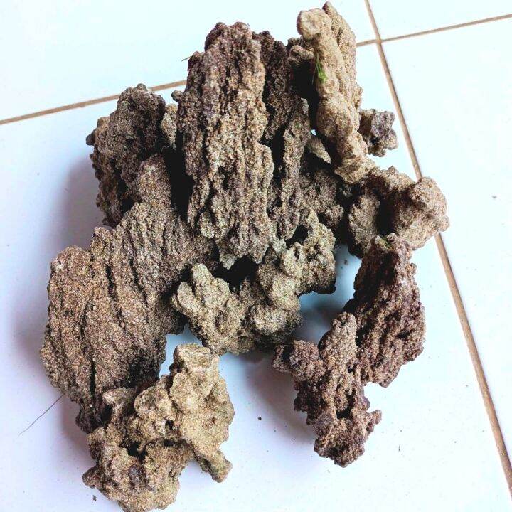 BATU POSIL PASIR paket 5 Kg | Lazada Indonesia