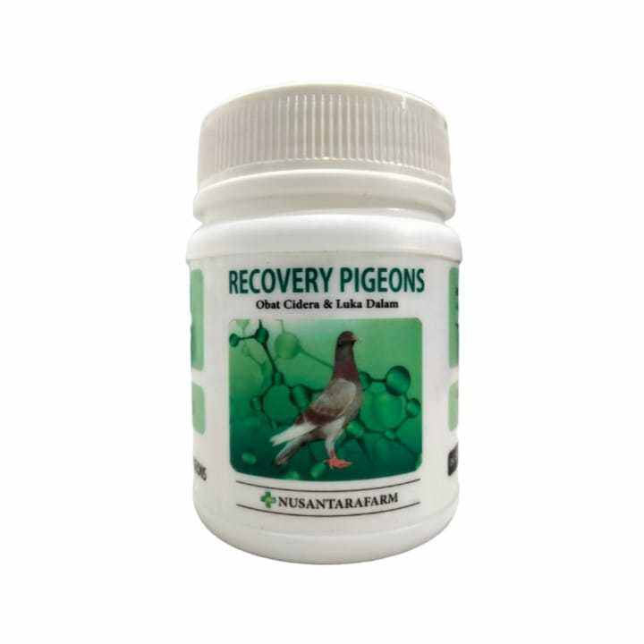 RECOVERY PIGEONS OBAT MERPATI CIDERA DAN LUKA DALAM OBAT MERPATI PATAH TULANG LUKA MEMAR LUMPUH ...