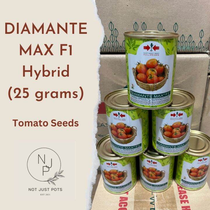 [EASTWEST SEEDS] DIAMANTE MAX F1 HYBRID TOMATO SEEDS (25 grams) | Lazada PH