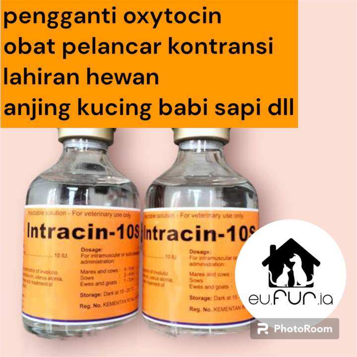 intracin 10s pengganti oxytocin obat pelancar kontraksi lahiran hewan ...