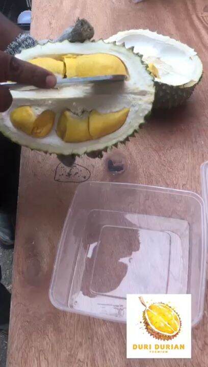 XO Durian D24 Fresh Raub Musang King Durian Non Frozen Durian Pulp ...