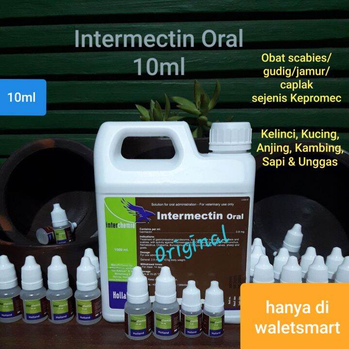 Intermectin Oral 10ml repack sejenis dgn Kepromec Obat Scabies Parasit ...