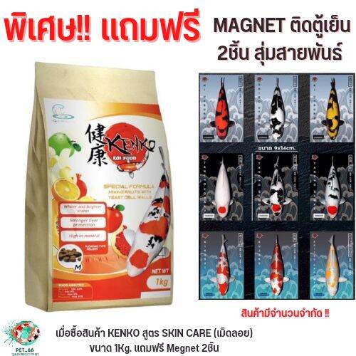 🔥แถมฟรี Magnet 2 ชิ้น🔥 อาหารปลาคาร์ฟ KENKO Skin Care X3 (สูตรบำรุงผิว ...