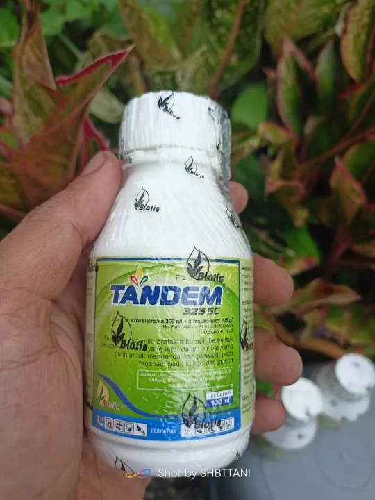 Fungisida Tandem 325sc Netto 100 ML Bahan Aktif Azoksistrobin 200g/l ...