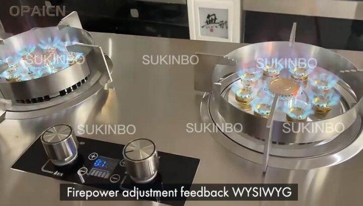 SUKINBO 304 Stainless Steel Build-in/Tabletop 2 Lotus Flame Burner Led ...