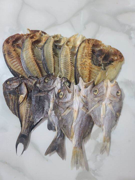 Assorted Isdang Bato mixed Dried Fish (Daing na Isda) Canuping Mungit ...