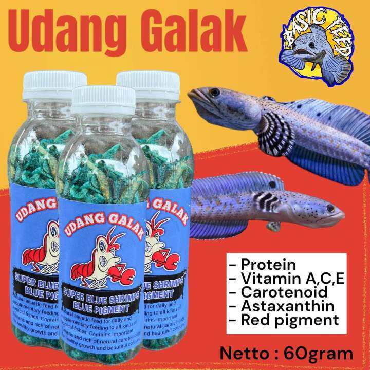 udang galak biru 60gr | pakan ikan | makanan ikan channa blue pulchra ...