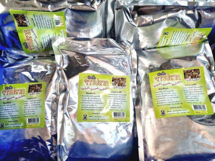 หัวเชื้อจุลินทรีย์จาวปลวก แบบแห้งแท้ 100% ขนาด 500 กรัม | Lazada.co.th