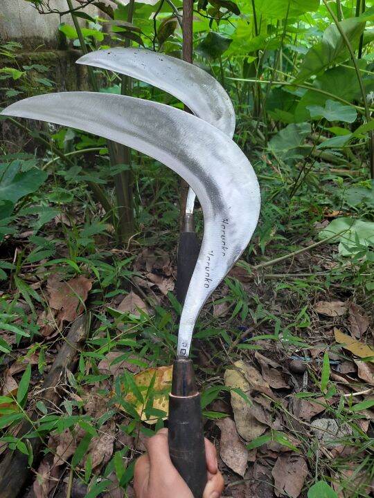 ARIT PADI DAN RUMPUT PER ORIGINAL | Lazada Indonesia