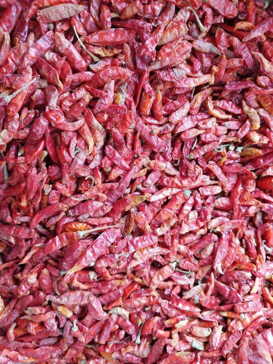 Cabai Kering Siam / Cili Kering Siam Thailand Pedas | Lazada