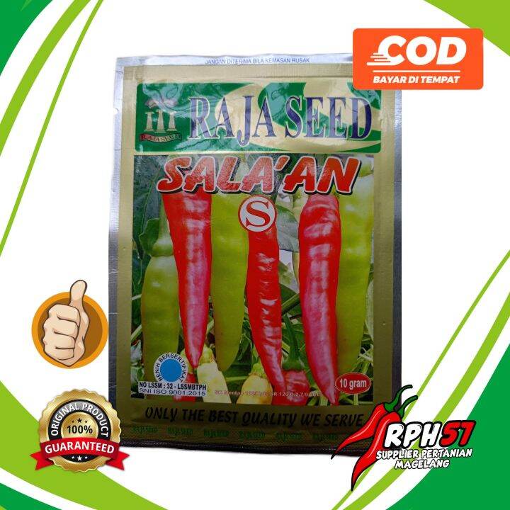 COD Benih Cabai Rawit SALAAN produk RAJA SEED 10gram | Lazada Indonesia