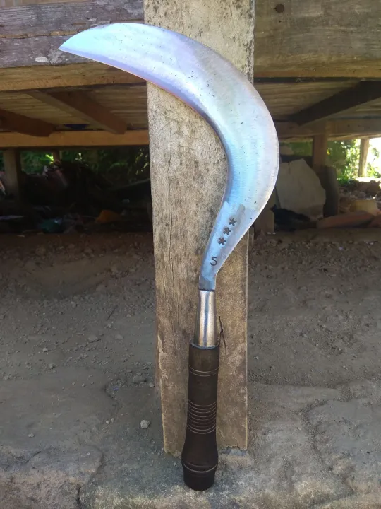 arit rumput | Lazada Indonesia