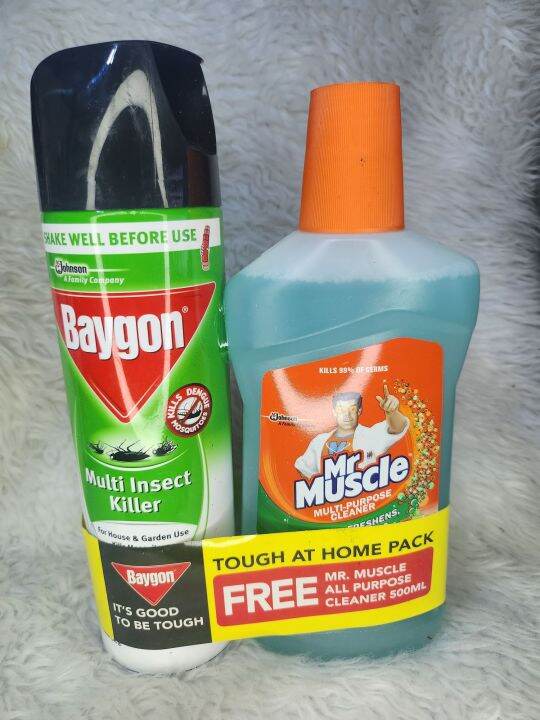 BAYGON MULTI INSECT KILLER AND MR MUSCLE | Lazada PH