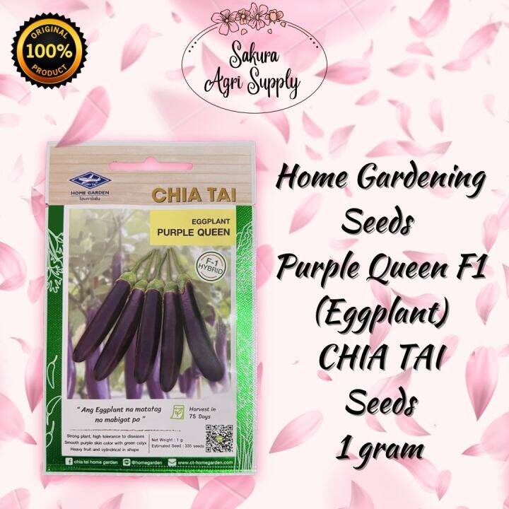 PURPLE QUEEN F1 CHIA TAI SEED HYBRID EGGPLANT TALONG SEEDS 1gram ...