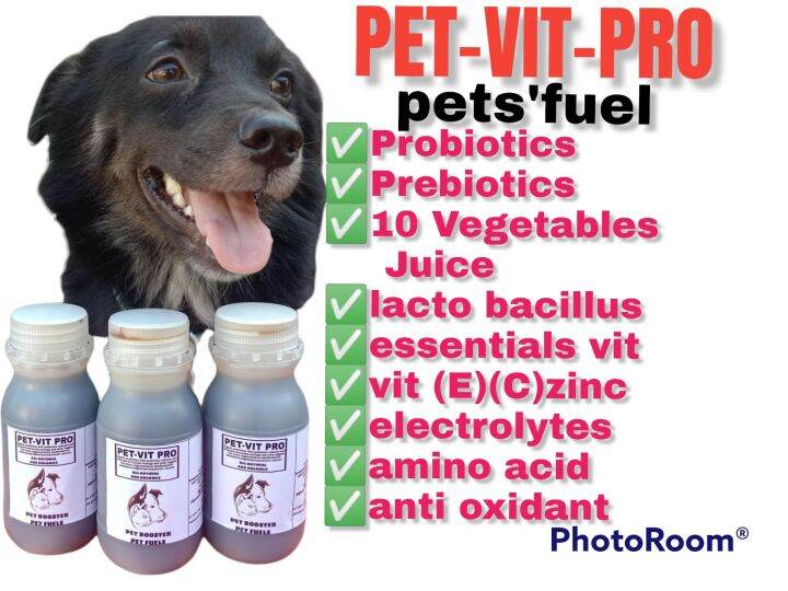 PET FUEL PROBIOTICS PREBIOTICS WITH MORINGA(pet-vit-pro)PURE ...