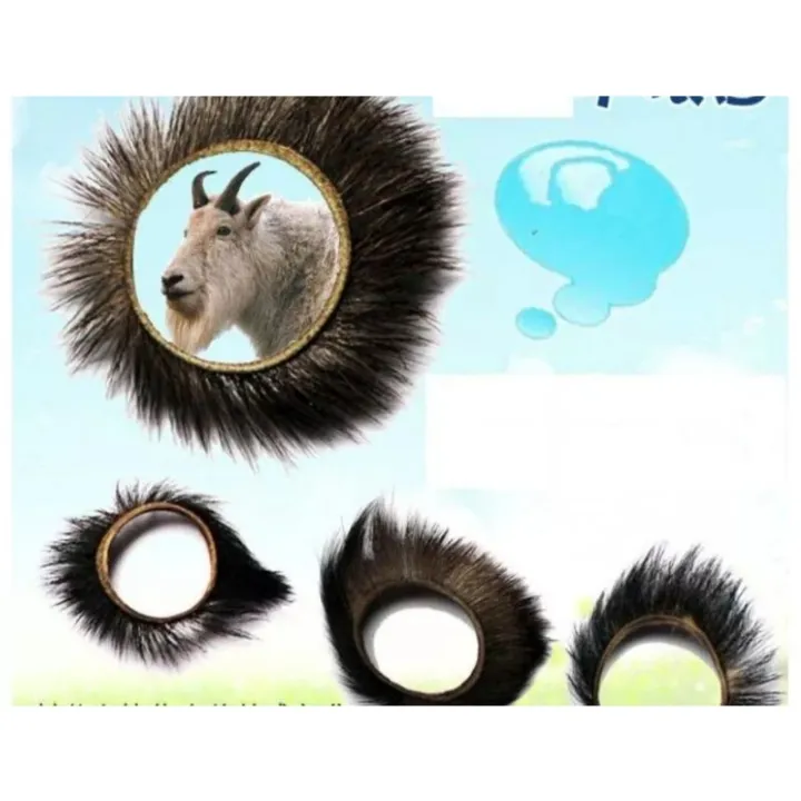 Pilikmata ng kambing goat eyelash for men | Lazada PH