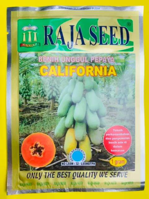 Benih unggul pepaya CALIFORNIA dari raja seed. Isi 1gram | Lazada Indonesia