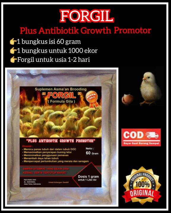FORGIL suplement brooding plus AGP | Lazada Indonesia