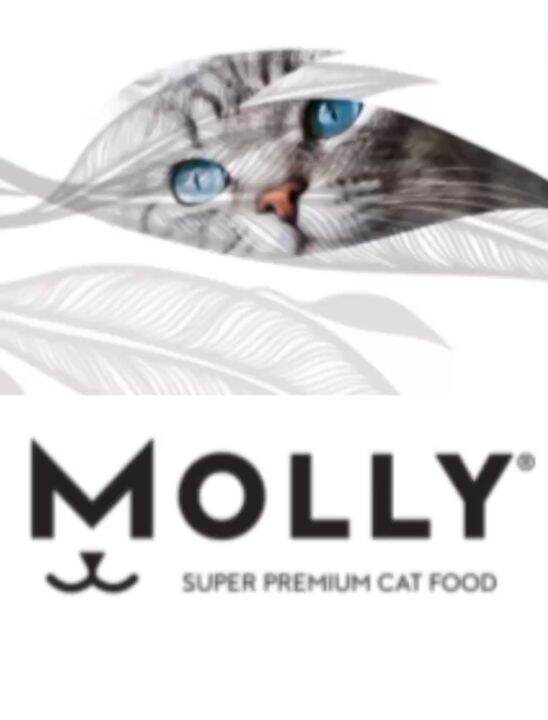 Molly Cat Food Adult Chicken & Anchovy - Hairball Control Makanan ...