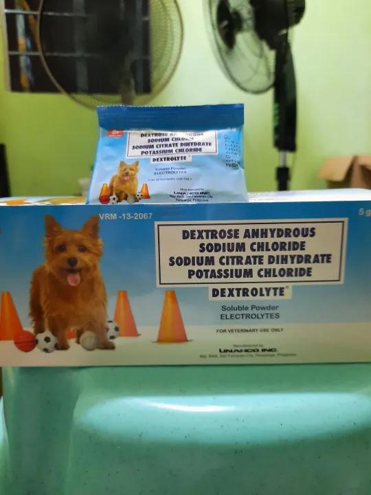 DEXTROLYTE POWDER 5g (sold per 3pcs) | Lazada PH