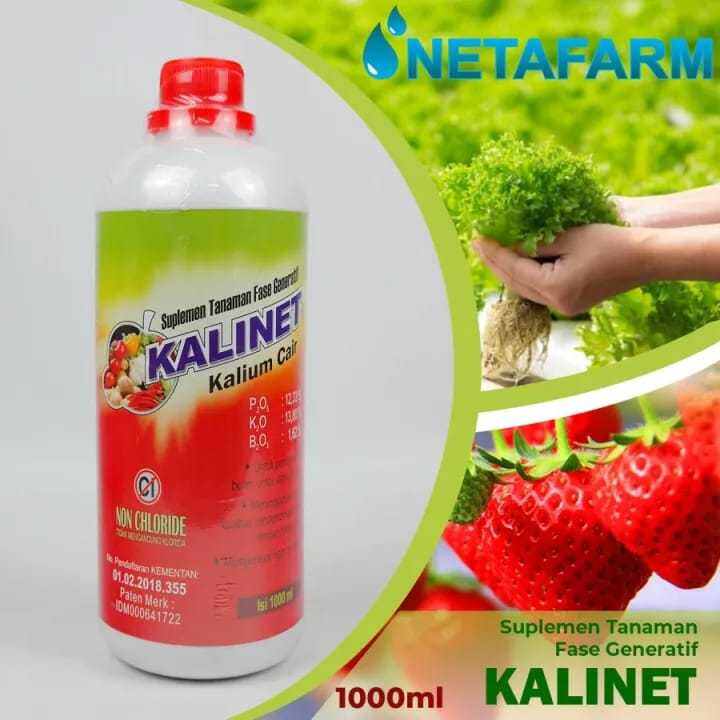KALINET Pupuk Kalium Cair Pembuahan Generatif Tanaman Pemanis Buah ...