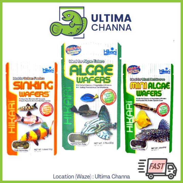 HIKARI Algae Wafers / Mini Algae Wafers / Sinking Wafers premium fish ...