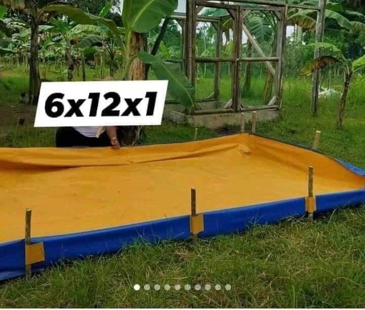 6x12x1ft Azolla Bed and Trapond ORIGINAL MARUYAMA S400 Japan Brand ...