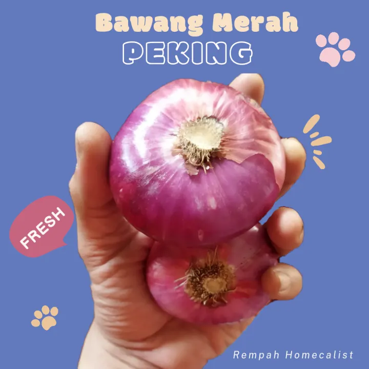 Bawang Merah Peking 1kg Bawang Merah India | Lazada Indonesia