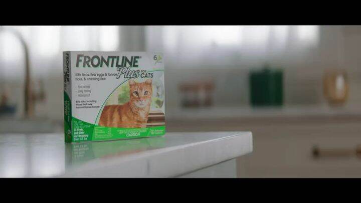 Frontline Plus Tick & Flea Drops For Cats (1 pipet) Flea and Tick Spot ...