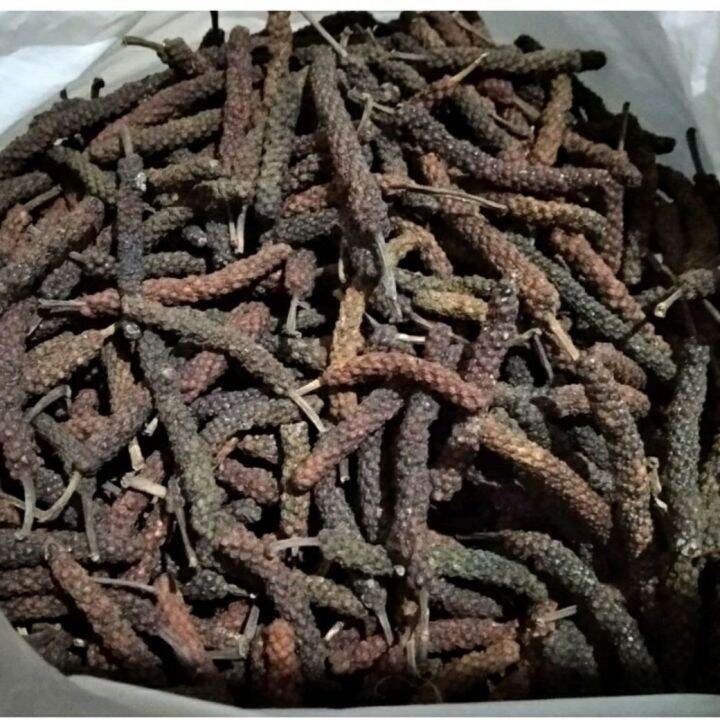 Cabe jawa kering cabe puyang 100 gram | Lazada Indonesia