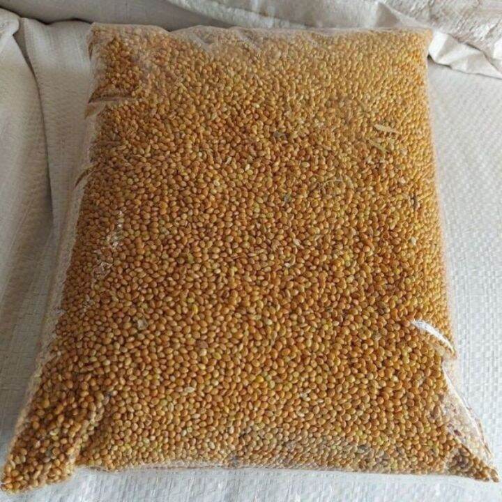 MILET KUNING 250 GRAM PAKAN MAKANAN BURUNG LOVEBIRD PRUKUTUT KENARI ...