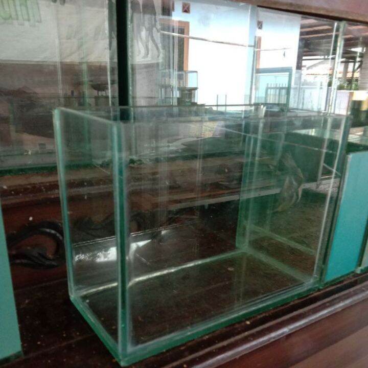 soliter ikan cupang/ikan kecil lainya, 20x10x15 cm/1pcs | Lazada Indonesia