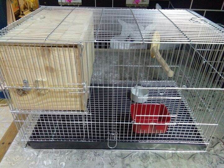 Bird cage 15x24 set | Lazada PH