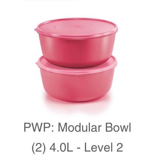 Tupperware Modular Bowl 4.0L(2 Pcs) | Lazada