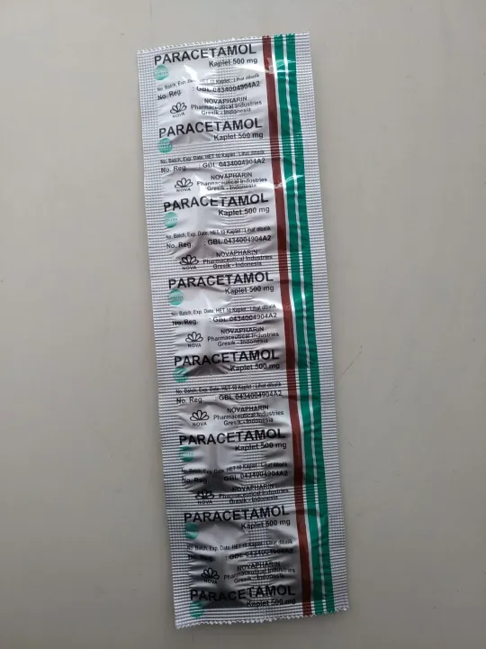 paracetamol tablet 500mg strip isi 10 tablet generik obat demam panas | Lazada Indonesia