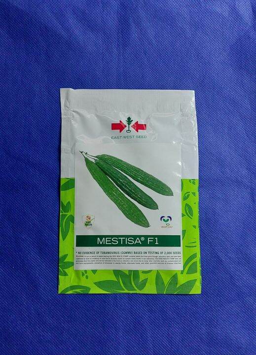 Mestisa F1 Asenso Pack (24 seeds) Hybrid Ampalaya by East West Seed ...