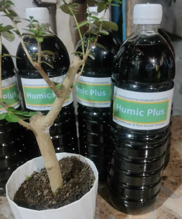 12 BOTTLES Organic Fertilizer HUMIC PLUS (1 LITER EACH) | Lazada PH