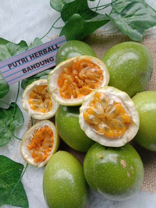 BUAH MARKISA HUTAN BUAH SAPROLA ASAM MANIS SEGAR COCOK UNTUK SIRUP PER 1 KG | Lazada Indonesia