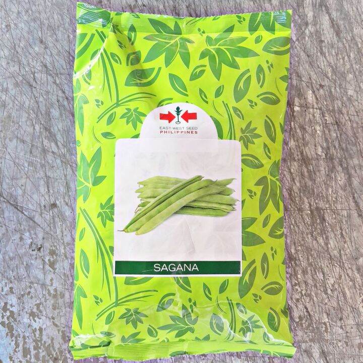 SAGANA OPV SNAP BAGUIO BEANS SEEDS (1 KILO) by EAST WEST SEED | Lazada PH