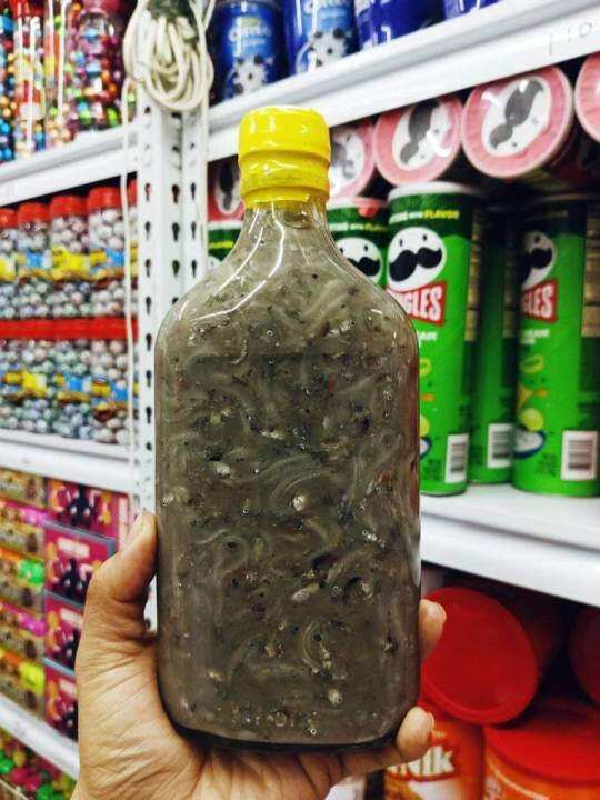 Ginamos Dilis in a bottle | Lazada PH