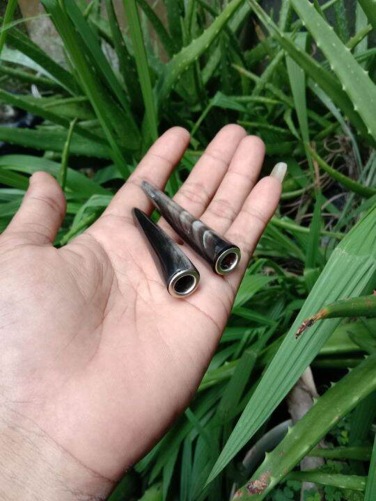 once pipa cangklong tanduk kerbau | Lazada Indonesia