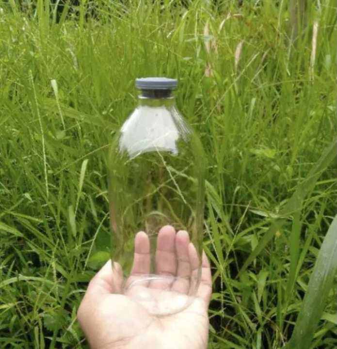 Botol Kaca Infus 500Ml tutup karet ( wadah jamu.jus dll ) | Lazada ...