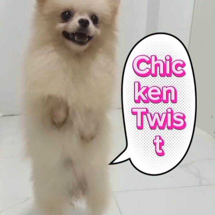 Hello doggy dog jerky treats (Chicken )300g | Lazada PH