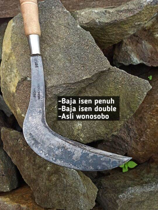 Arit buat ngarit rumput asli baja isen double full belakang | Lazada ...