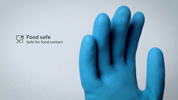Excia CC005 Food Processing Latex and Nitrile Gloves Food Glove Sarung ...