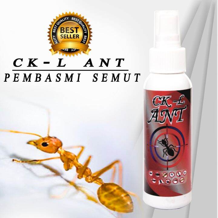 Pembasmi semut tanaman efektif dan ampuh | Lazada Indonesia