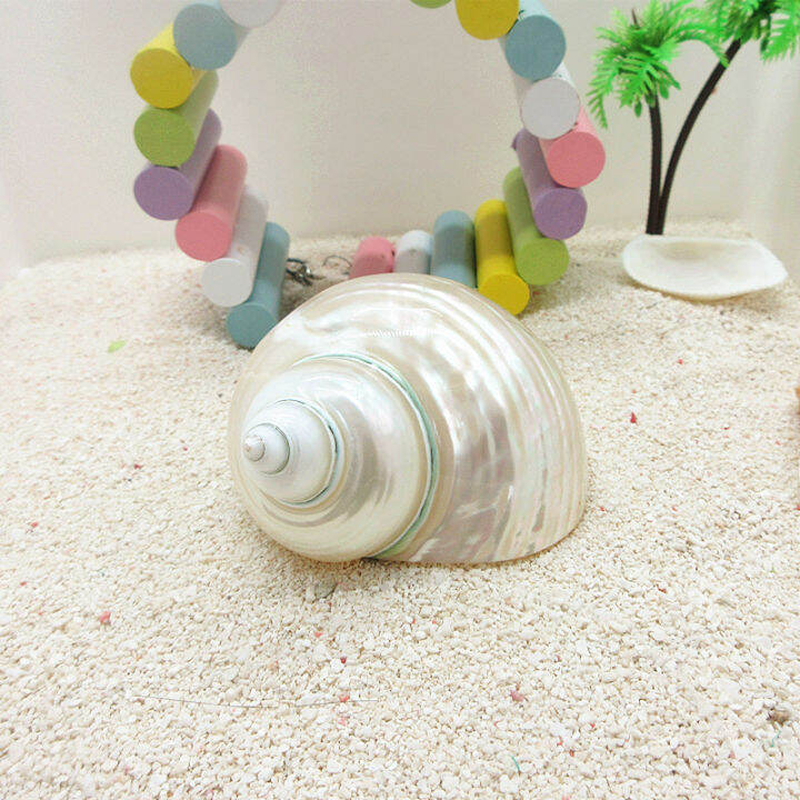 [6-7cm Replacement Shell Collection] Special Spare Shell for Land Fresh ...